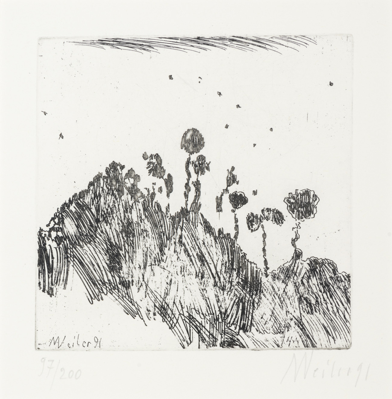 Max Weiler | Museo Eccel Kreuzer